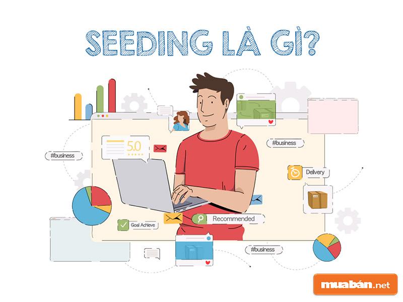 [Seeding Là Gì] - Tìm Hiểu Về Forum Seeding | VinaHost.VN