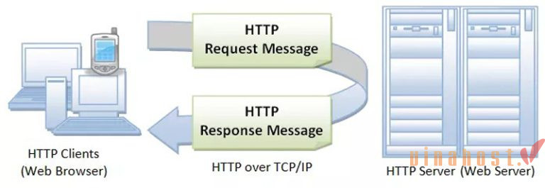 [2025] Giao thức HTTPS là gì? HTTP và HTTPS khác nhau gì?