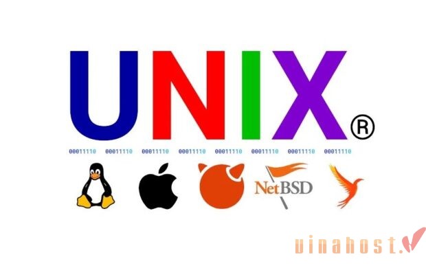 [2025] Unix là gì? | Tổng hợp kiến thức [A-Z] về HĐH Unix