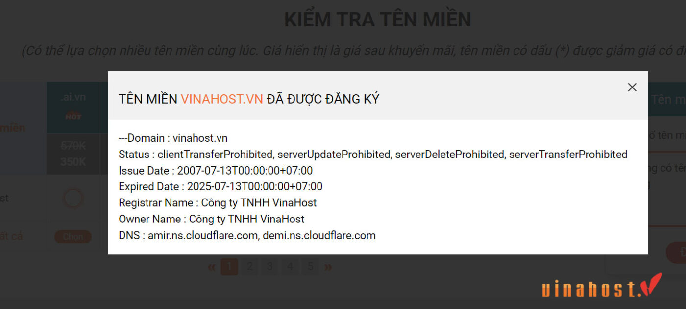 [2025] Cách Kiểm Tra Chủ Sở Hữu Tên Miền [Chính Xác 100%]