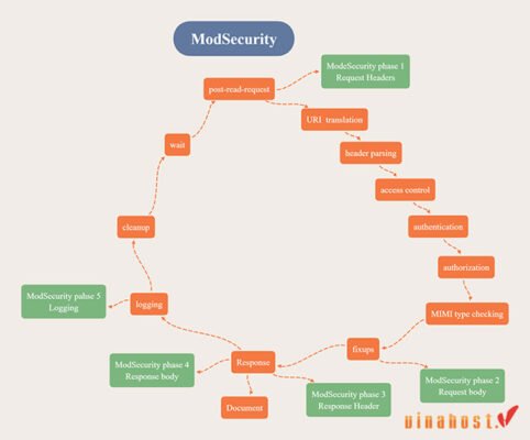 [2025] Mod Security là gì? Tính năng, vai trò của Mod Security
