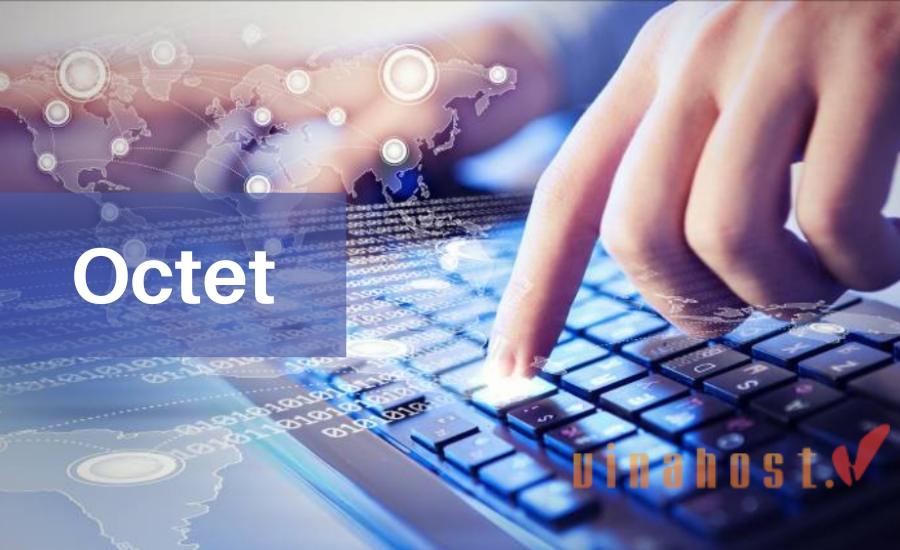 [2025] Octet là gì? | Lý do nên sử dụng Octet trong khi có Byte