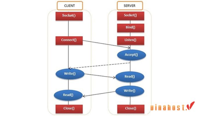 [2025] Socket là gì? | Ưu và Nhược điểm từng loại Socket