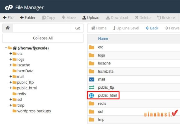 [2025] Sửa lỗi error establishing a database connection Xampp